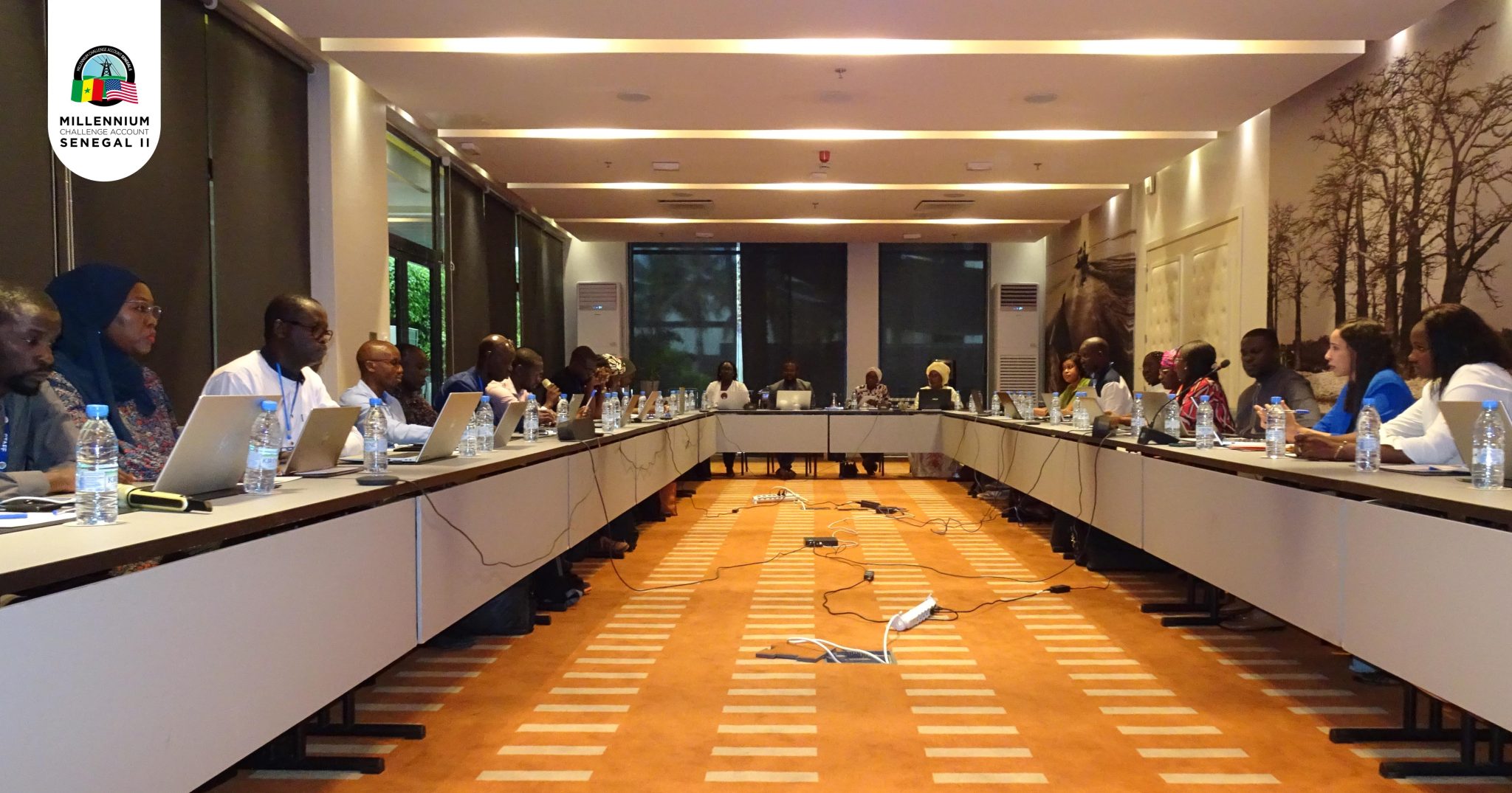 Performance environnementale et sociale - MCA SENEGAL II